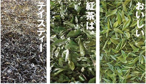 Tastea 業務用紅茶卸売 テイスティー Kariya Shi Aichi