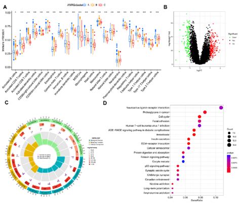 differential expression of genes and immune infiltration patterns in
