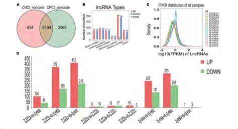 Identification Of Differentially Expressed LncRNAs DElncRNAs A Download Scientific