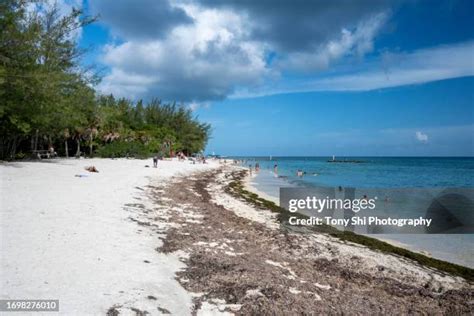 Taylor Beach Photos And Premium High Res Pictures Getty Images