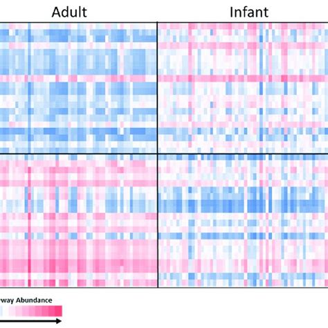 differentially abundant predicted functional pathways between the adult