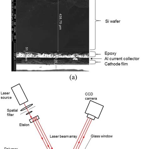 A Schematic Of The Sample Cross Section And The Corresponding Sem