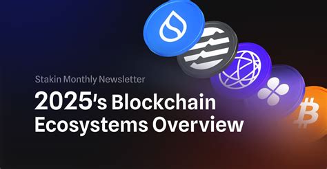 🚀 2025 Blockchain Ecosystems Overview Newsletter