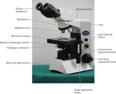 Chapter 2 Microscopy Flashcards Quizlet