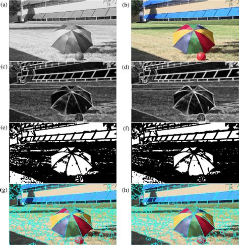 Watershed Segmentation From The Image Gradient And Markers Input Image