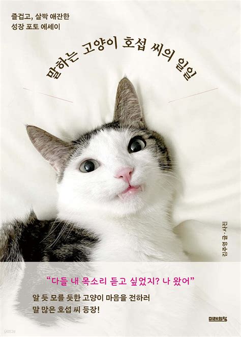 말하는 고양이 호섭 씨의 일일 예스24