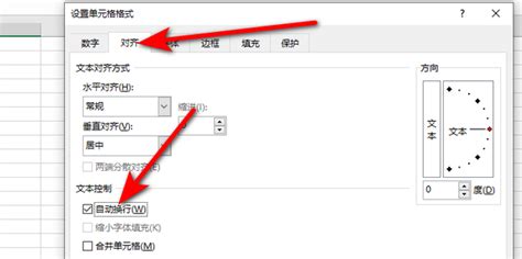 Excel表格字数太多显示不出来怎么办 360新知