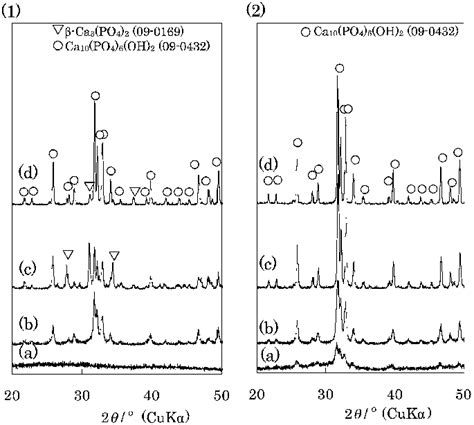 Xrd Patterns Of Samples Obtained By Heating Hap Precursors Prepared At