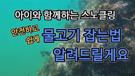 동해 삼척 스노클링 아이와 함께 스노클링하며 쉽고 재미있게 물고기 잡는 방법 보고가세요 Youtube