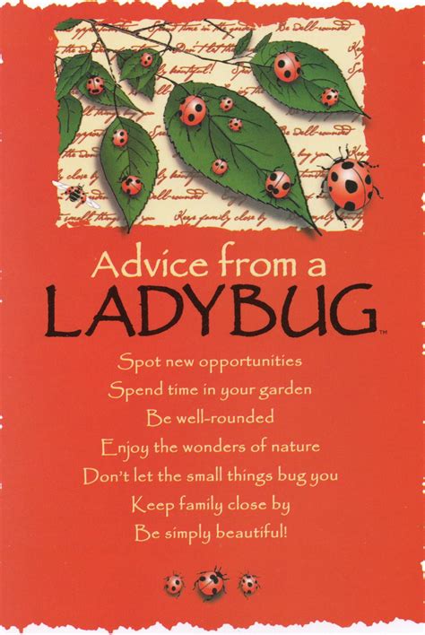 Advice From A Ladybug All Saints Widow And Widowers Organization