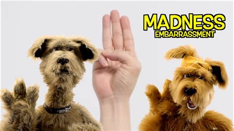 Madness Embarrassment Youtube
