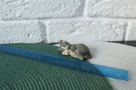 Статуетка сплячий котик кераміка — ціна 190 грн у каталозі Статуетки Купити товари для дому та