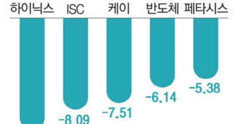 엔비디아 무너지자 K반도체株 와르르 20만닉스 깨졌다