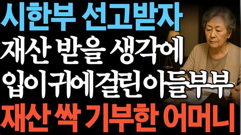시한부선고 받자마자 재산받을 생각에 입이 귀에 걸린 아들부부에 재산 싹 기부한 어머니 노후 인간관계 이혼 고부갈등 파혼 사연 인생 부모자식