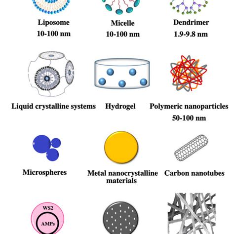 Schematic Representation Of The 12 Nanocarriers Used In Drug Delivery Download Scientific