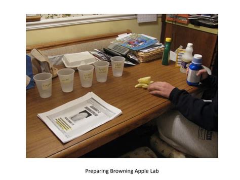 Browning Apple Lab Ppt
