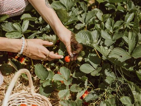 101 Sustainability Tips And Ideas For A Greener Lifestyle