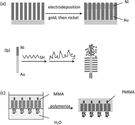 Schematic Diagram Illustrates The Ordered Arrays Of Nanorods Download Scientific Diagram