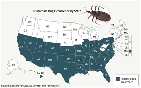 A New Night Stalker Beware The Kissing Bug The Stealthy 6 Legged