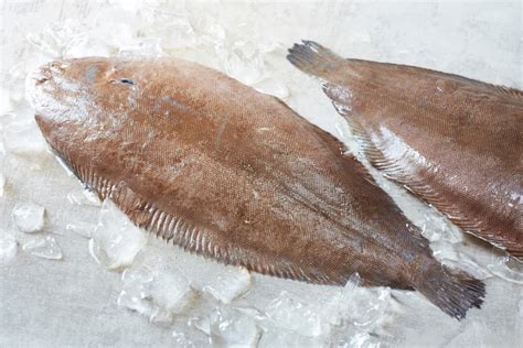 Dover Sole Whole