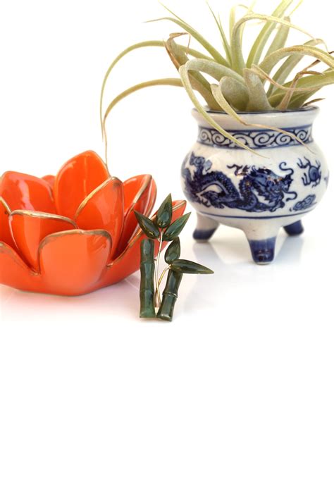 Vintage Jade Bamboo Brooch Lucite Bamboo Five Leaf And Double Etsy