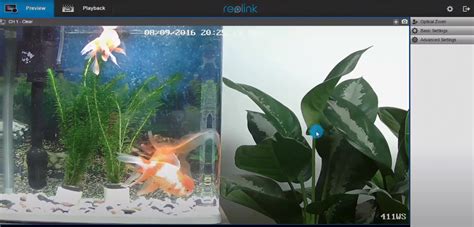 Download Reolink For Pc Free For Windows 7 8 10 11 And Mac