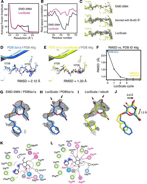 Figures And Data In Model Based Local Density Sharpening Of Cryo Em Maps Elife