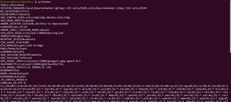 Mostrar RUTA De Variables De Entorno MuyLinux
