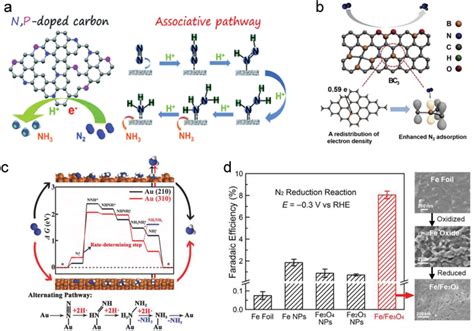 A Np Codoping Carbon For Nrr Reproduced With Permission71 Copyright Download Scientific