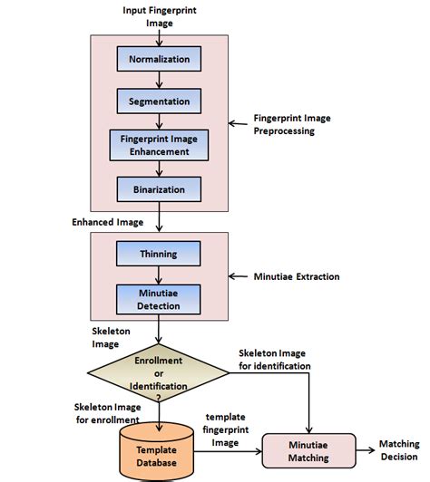 work flow diagram of proposed fingerprint identification system
