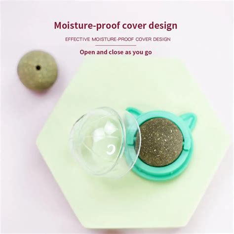 Catnip Wall Ball My Gudget