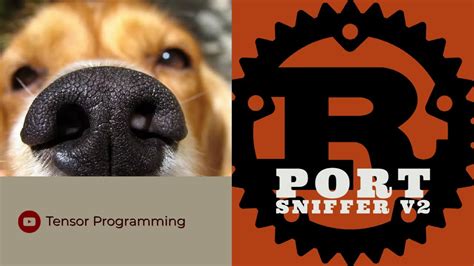 Rust Port Sniffer V Update YouTube