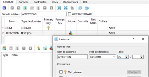 Sqlite Problème Daffichage Text Et Memowide Bases De Données Delphi