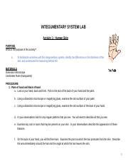 Exploring The Integumentary System Understanding Human Skin Course Hero