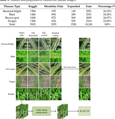 Table 1 From An Accurate Classification Of Rice Diseases Based On Icai V4 Semantic Scholar