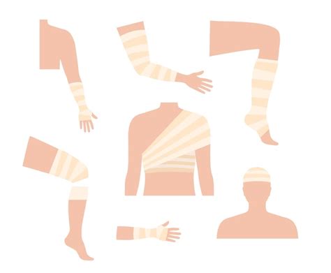 Premium Vector Human Limbs Trauma Premium Vector Human Limbs Trauma