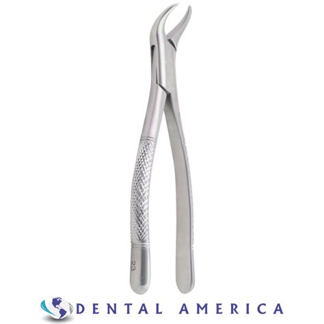 Forceps N° 23 Dental America Distribuidora De Equipos Odontológicos