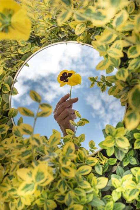 16 Creative Mirror Photography Tips And Ideas To Try Today