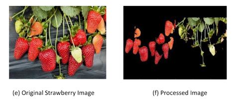 Github Akkocz17image Color Based Segmentation Masking And Etc