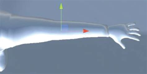 Examples Of Coordinate Frame Assignments On A Virtual Human Model A