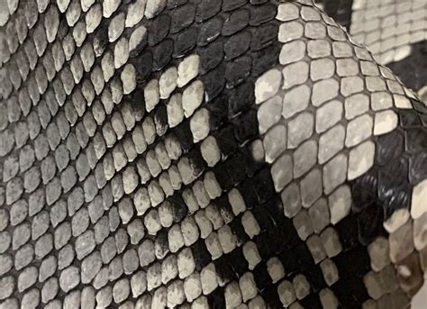 Les Qualités Et Les Avantages De Lutilisation De La Peau De Python
