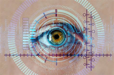 Download Eye Iris Biometrics Royalty Free Stock Illustration Image