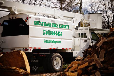 Tree Removal And Haul Away Great Dane Tree Experts
