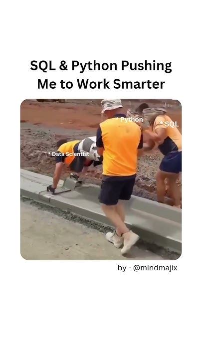 😂 Sql Python And Data Scientist Datascience Developermemes