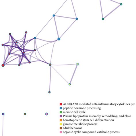 Differential Expression Analysis And Functional Enrichment Analysis