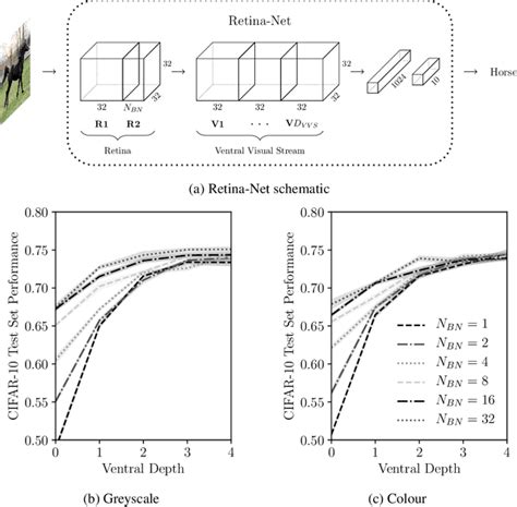 how convolutional neural network architecture biases learned opponency