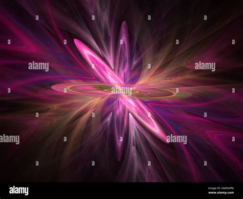 Fractal Flower This Image Was Created Using Fractal Generating And Graphic Manipulation