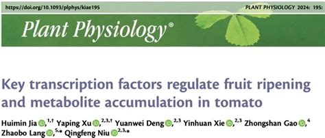 文献分享 串联重复的tps基因簇中的遗传变异促成荔枝果实香气的多样性 Book学术