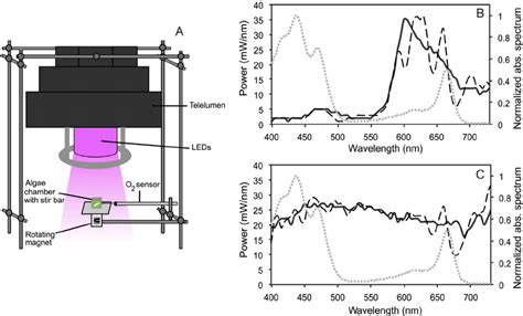 Experimental Schematic Of Led Light Replicator And Oxygen Probe Used To Download Scientific