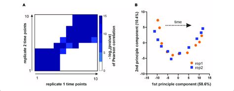 Data Overview And Quality Controls A All Time Points Of Replicate Download Scientific